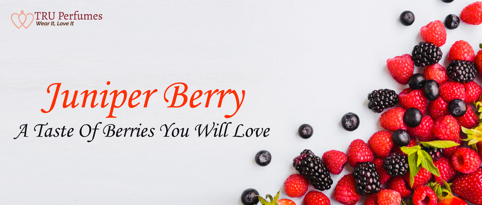 JUNIPER BERRY A TASTE OF BERRIES YOU WILL LOVE – Tru Perfumes
